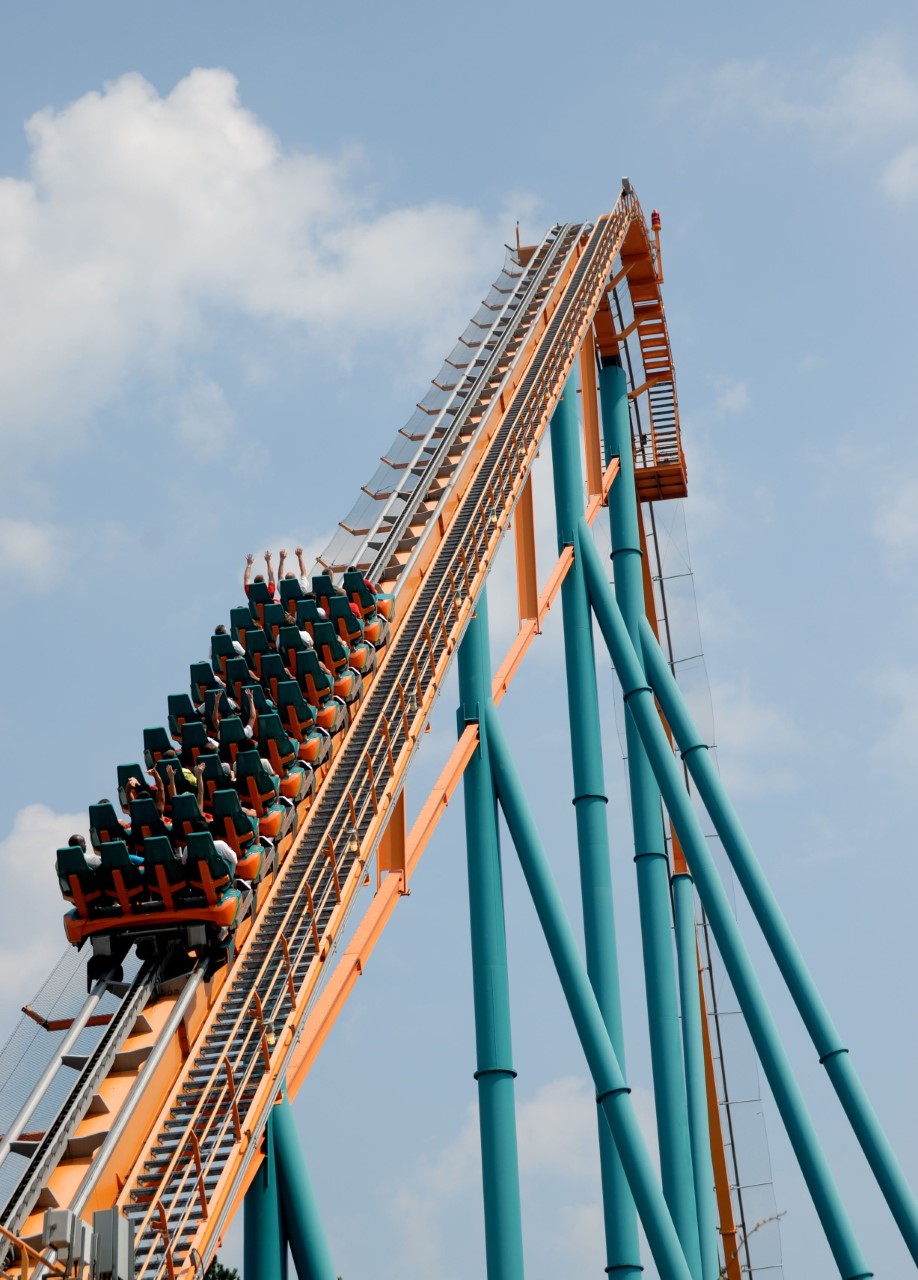 Roller coaster: le diverse tipologie e classificazioni esistenti